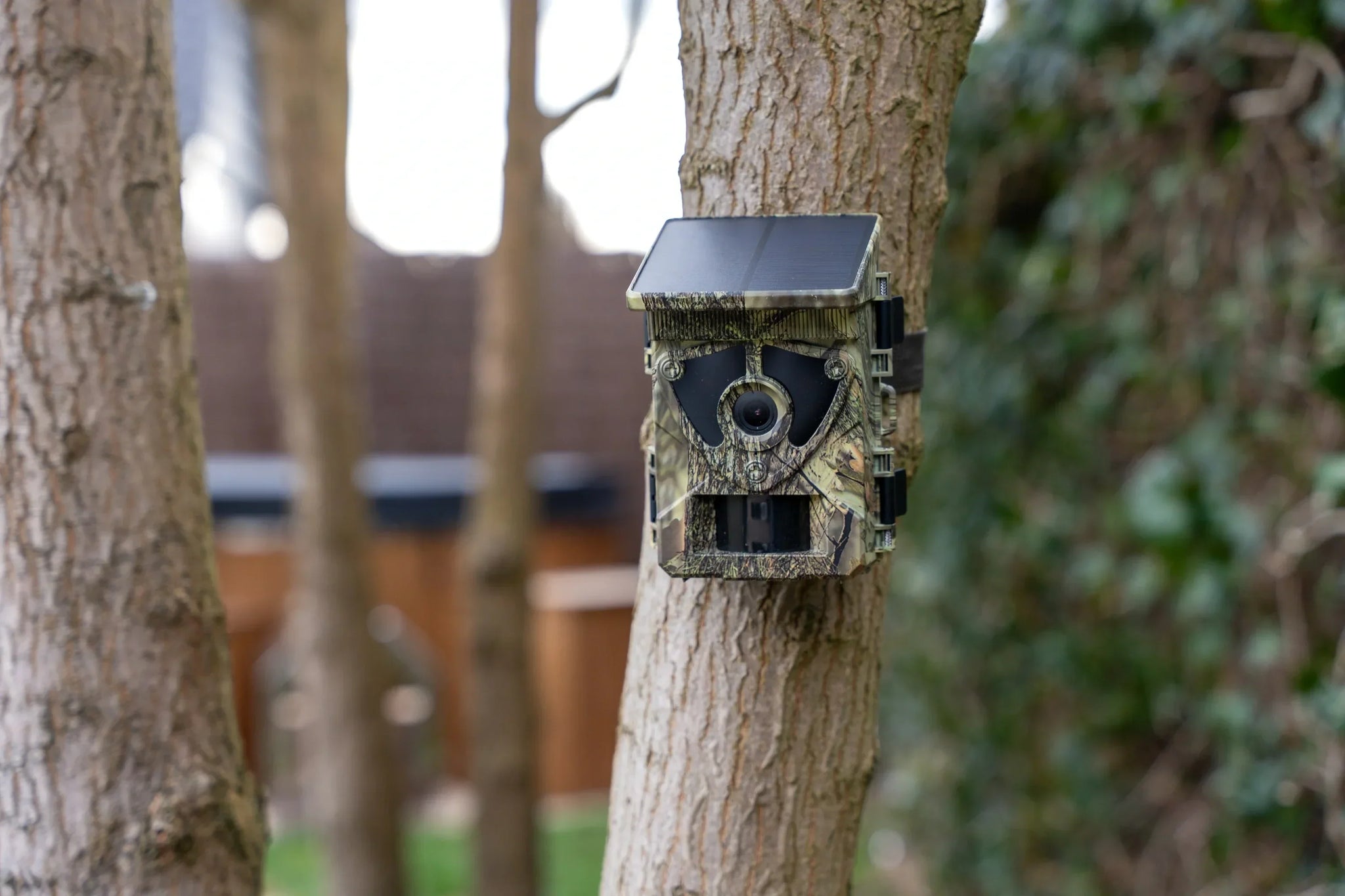 Wildlife Camera with Solar Panel – 8K HD Night Vision Camera